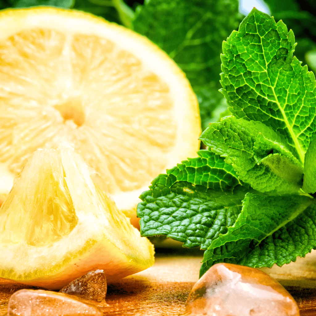 Mint Lemonade | Scent Only – Scently